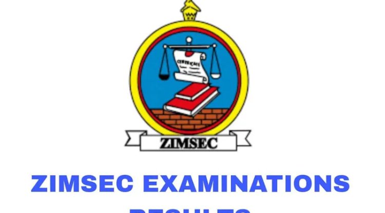 ZIMSEC 2023 O level November Pass rate and results - Free ZIMSEC O ...