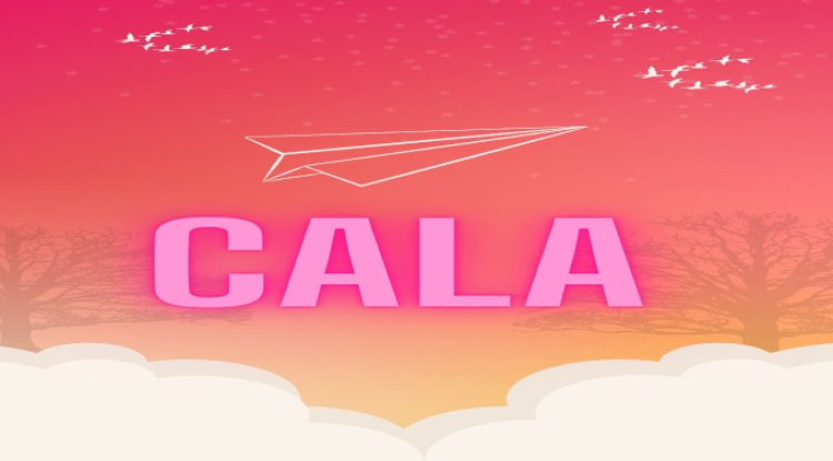 What are the objectives of CALA - Free ZIMSEC O Level and A Level Notes